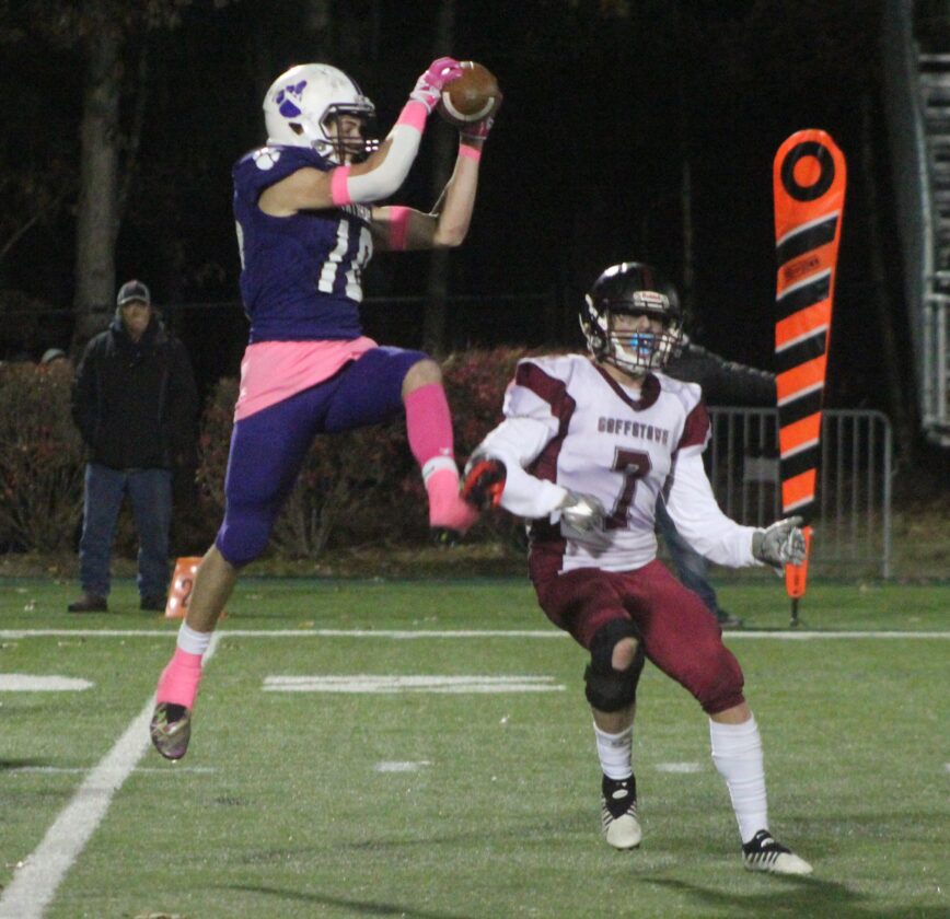 Panthers overcome turnovers to topple Grizzlies, 47-26 | News, Sports ...